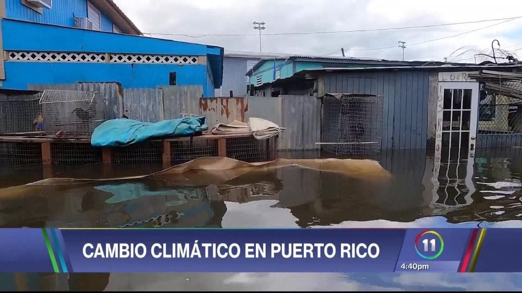 Revelan hallazgos de informe de cambio climático en Puerto Rico ...