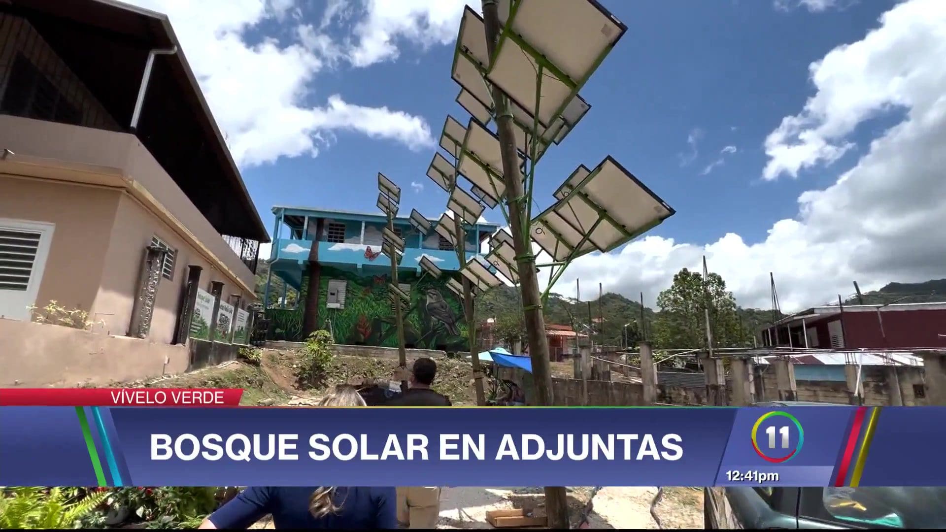 Casa Pueblo en Adjuntas se prepara para inaugurar su innovador "bosque ...