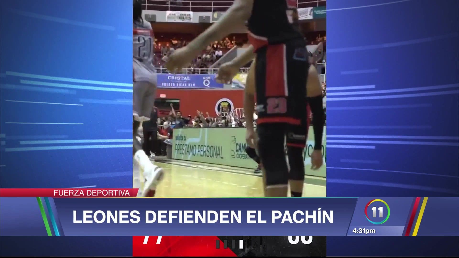 Leones defienden el Pachín - TeleOnce TV | Vívelo