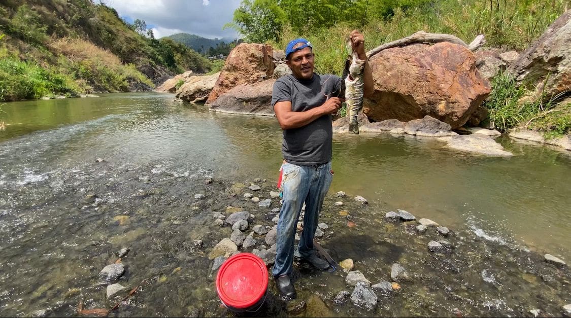 Se seca la represa de Comerío - TeleOnce TV | Vívelo