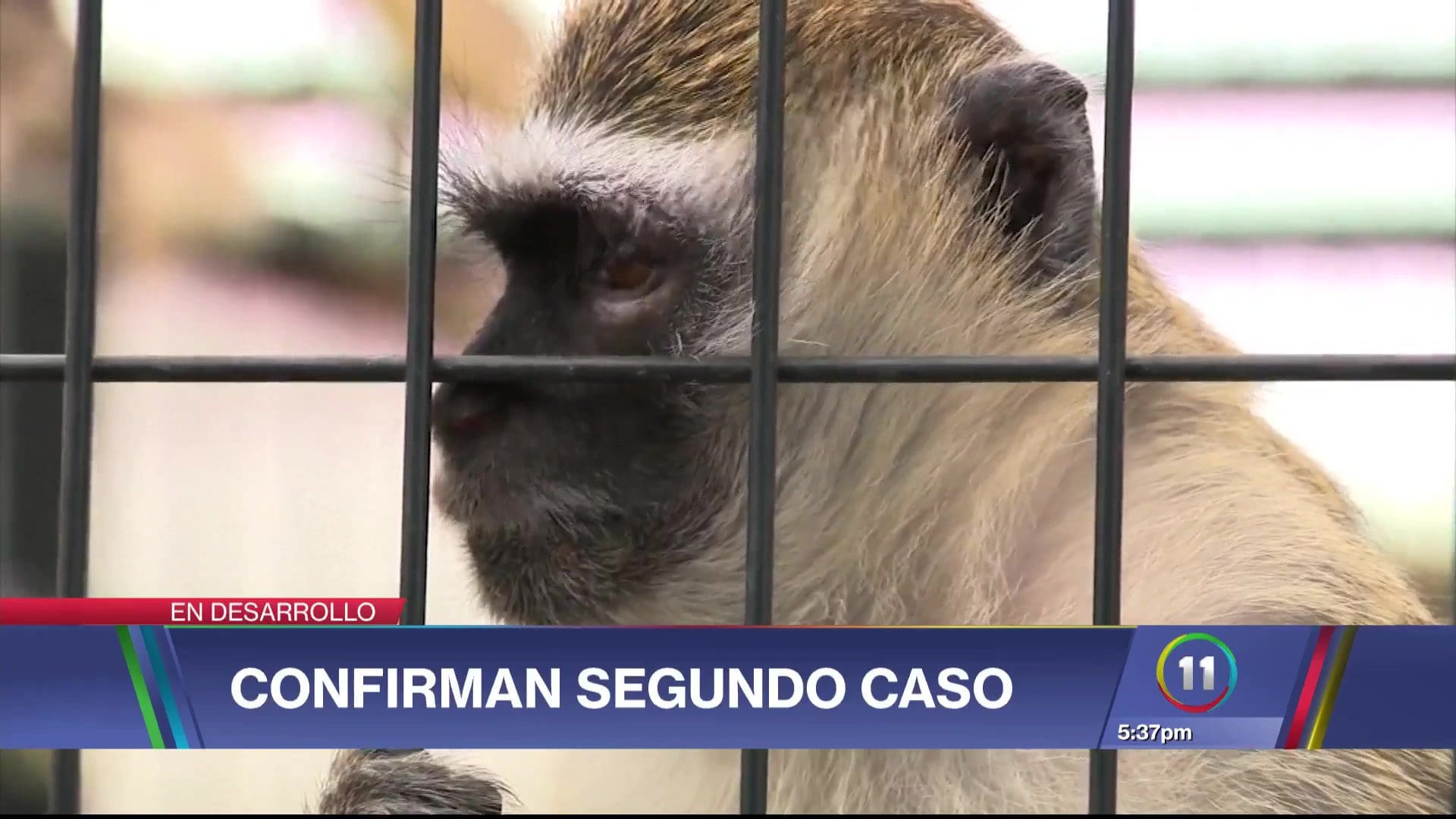 Confirman segundo caso de viruela del mono en Puerto Rico - TeleOnce TV ...