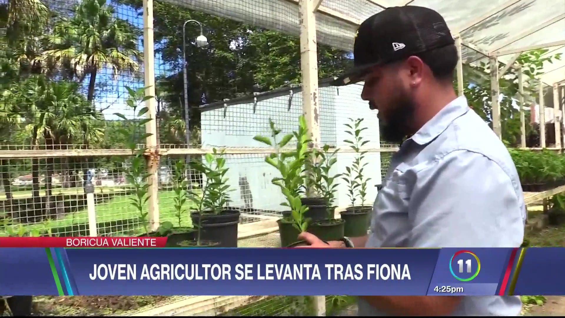 Boricua Valiente se levanta más fuerte que nunca tras perder toda su ...