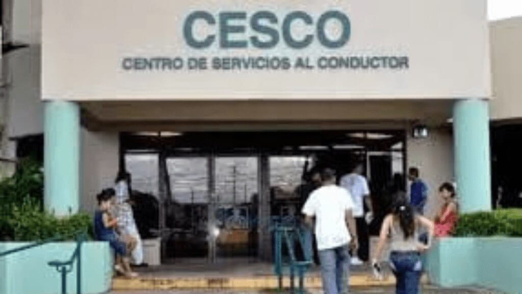 DTOP anuncia distribución de más de 50 mil marbetes adicionales para la ...