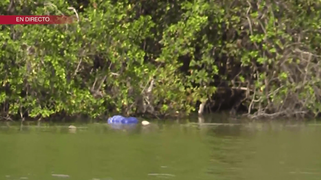 Muestran en juicio las fotos del cuerpo de Keishla Rodríguez al ser ...