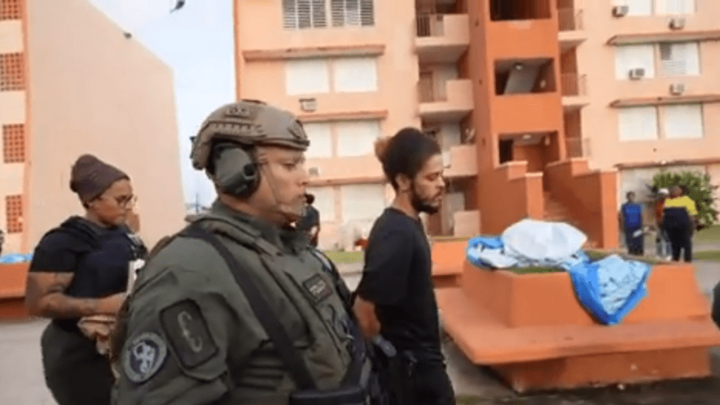 Arrestan a varios integrantes de una organización criminal en el ...