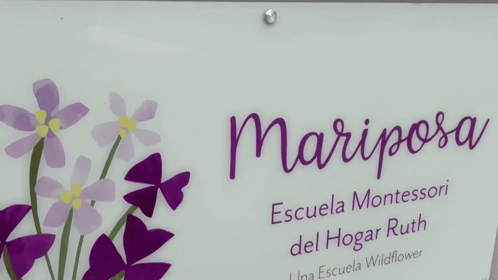 Hogar Ruth para víctimas de violencia doméstica - TeleOnce TV | Vívelo