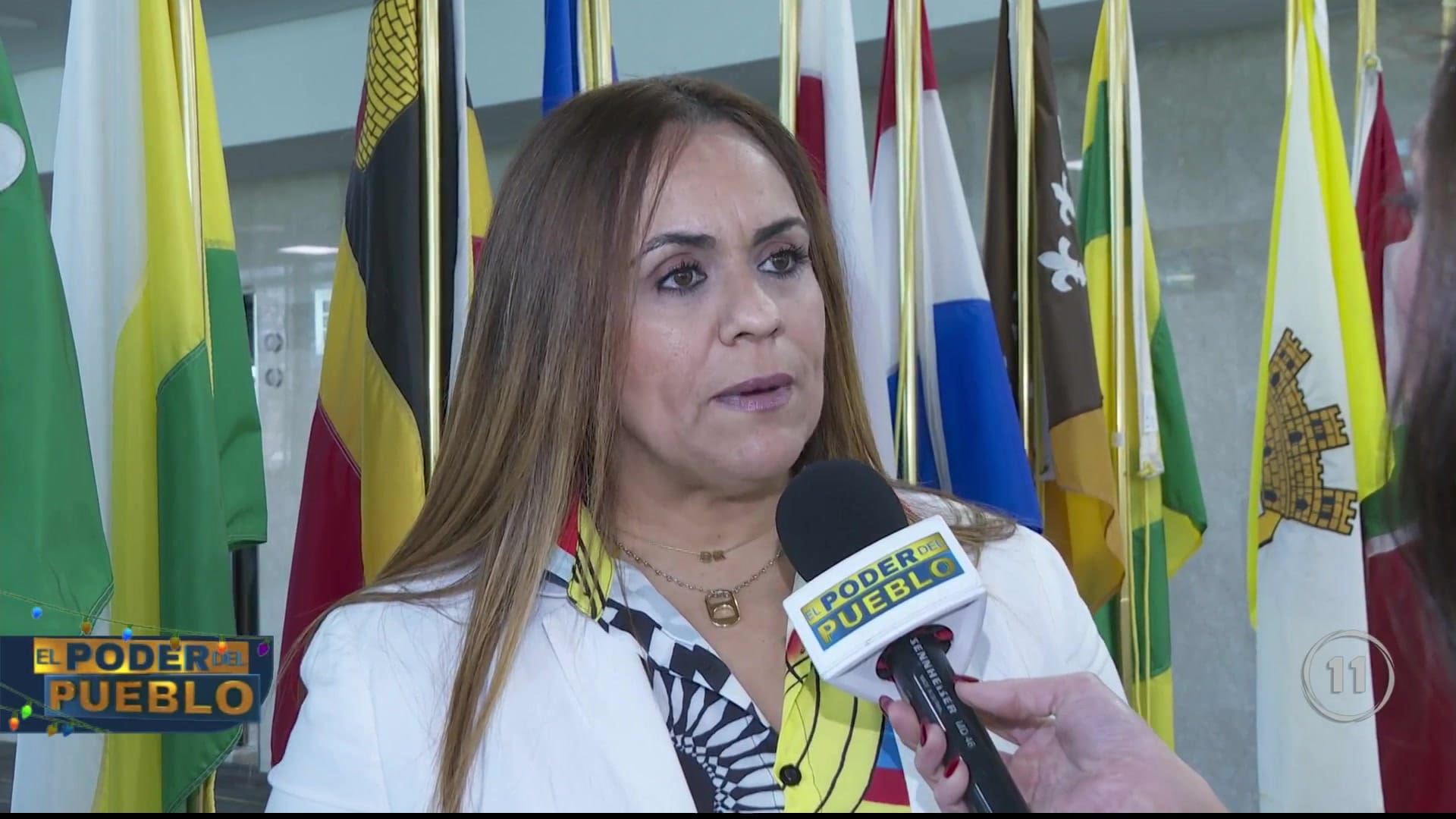 Presidenta alterna de la CEE asegura que van a realizar las primarias ...