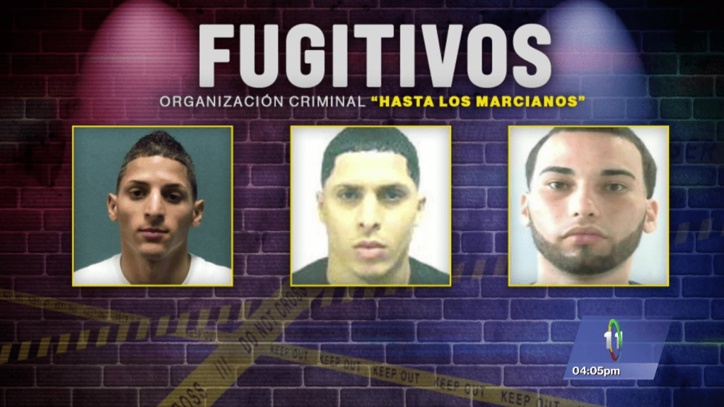 Aún quedan tres fugitivos de la organización criminal "HLM" - TeleOnce ...