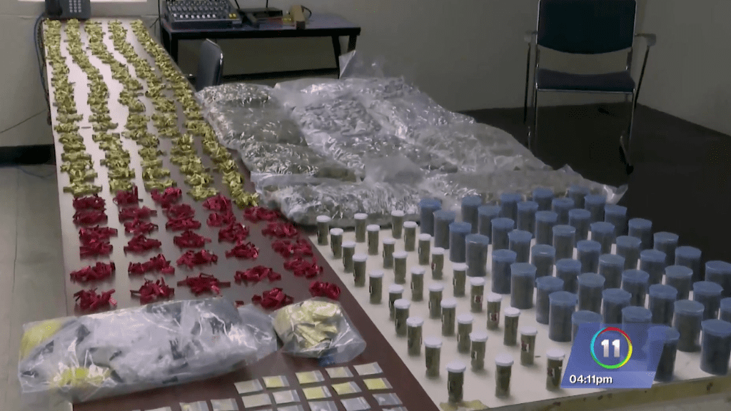 Incautan gran cantidad de drogas y 9 armas de fuego tras allanamiento en residencial El Trébol ...