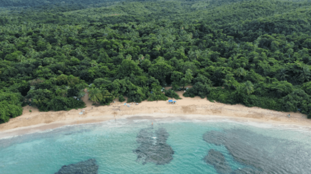 Explorando Puerto Rico: La Meca Turística del Este promete diversión ...