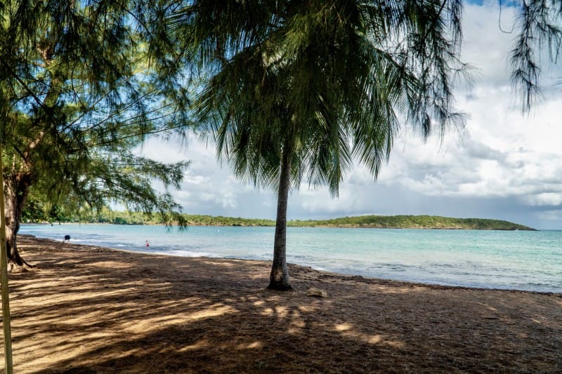 Explorando Puerto Rico: La Meca Turística del Este promete diversión ...