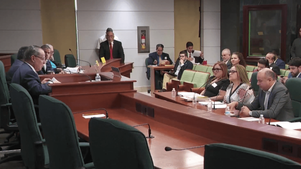 Presidenta alterna de la CEE en vista pública ante Comisión de Asuntos ...