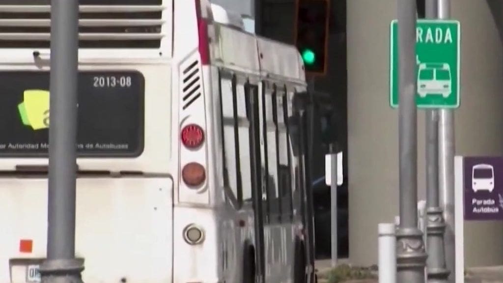 Incertidumbre por servicio de guaguas de la AMA - TeleOnce TV | Vívelo