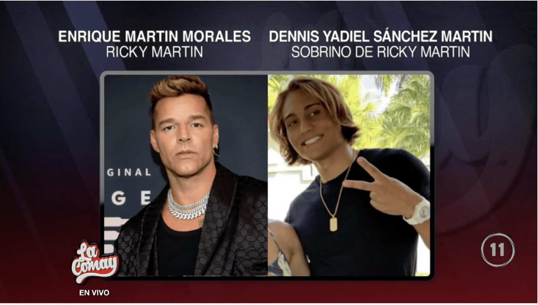 Caso de Ricky Martin contra su sobrino continuará en enero del 2025 ...