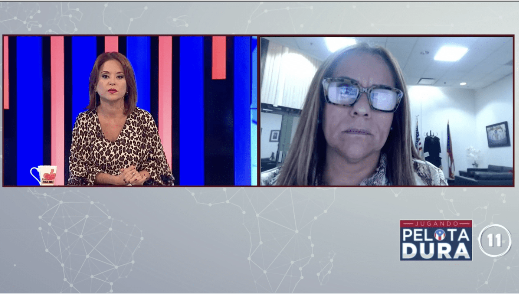 Presidenta alterna de la CEE reacciona a reportaje del CPI sobre ...