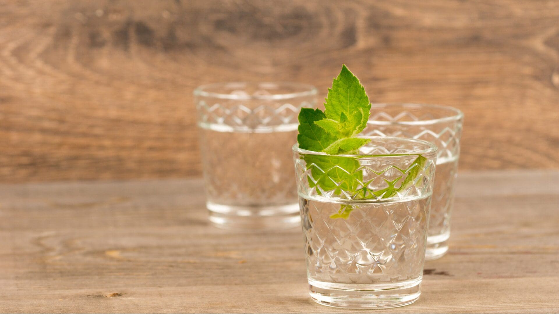 Llega a Puerto Rico una nueva marca de vodka - TeleOnce TV | Vívelo