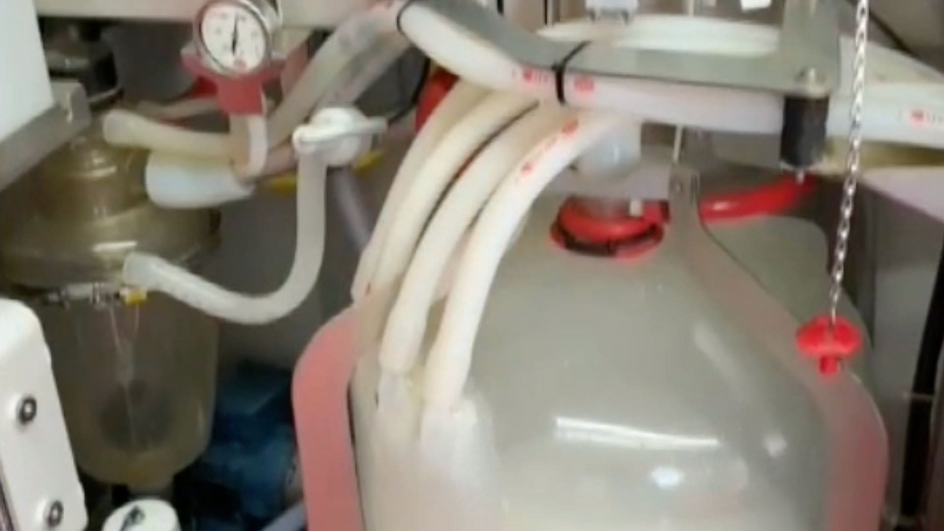 En riesgo el cuartillo de leche para Puerto Rico - TeleOnce TV | Vívelo