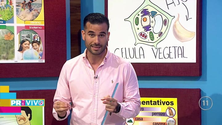 Tu Huertito Medicinal: los beneficios que no conocías del ajo ...