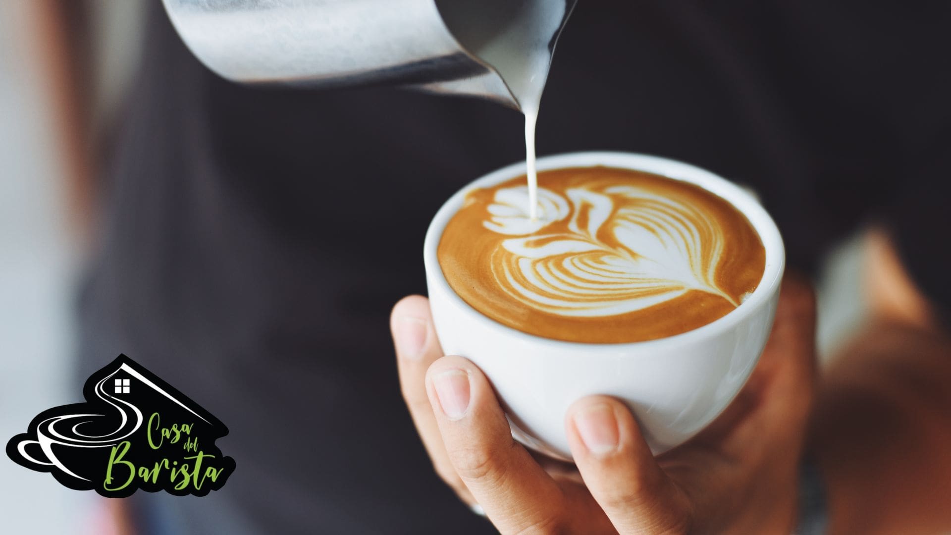 El café alegra nuestras mañanas - TeleOnce TV | Vívelo