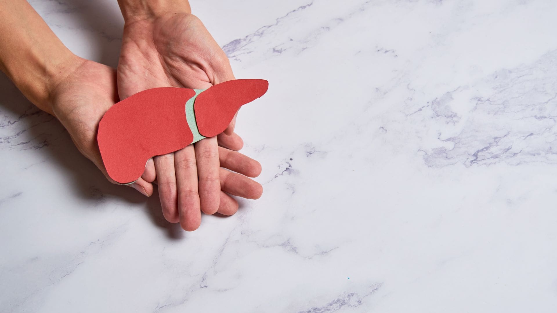 Lifelink lanza campaña "Infinito" - TeleOnce TV | Vívelo