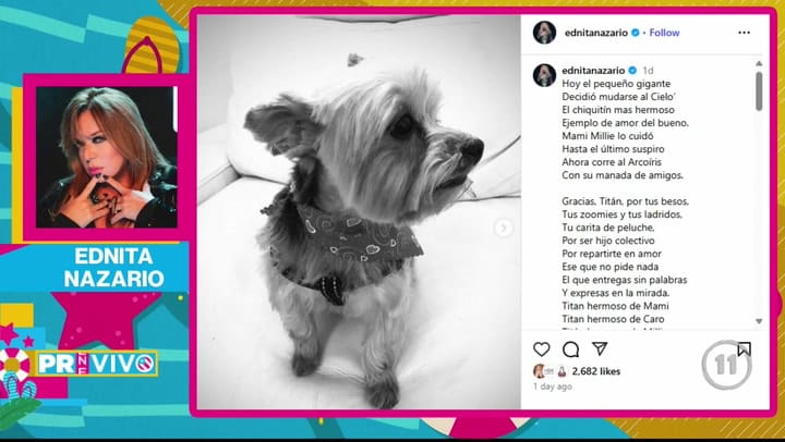Ednita Nazario comparte la pérdida de su perro "Titán" - TeleOnce TV ...