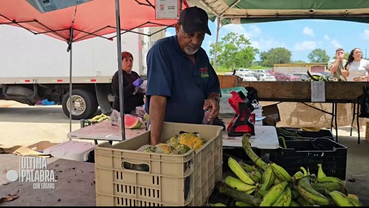 Mercado Familiar o supermercado: ¿cuál conviene más? - TeleOnce TV | Vívelo