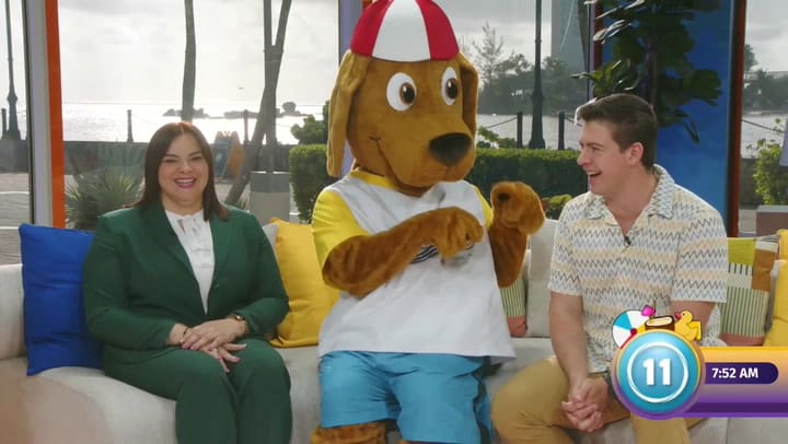 Triunfante la nueva mascota de ASSMCA que promueve el bienestar ...