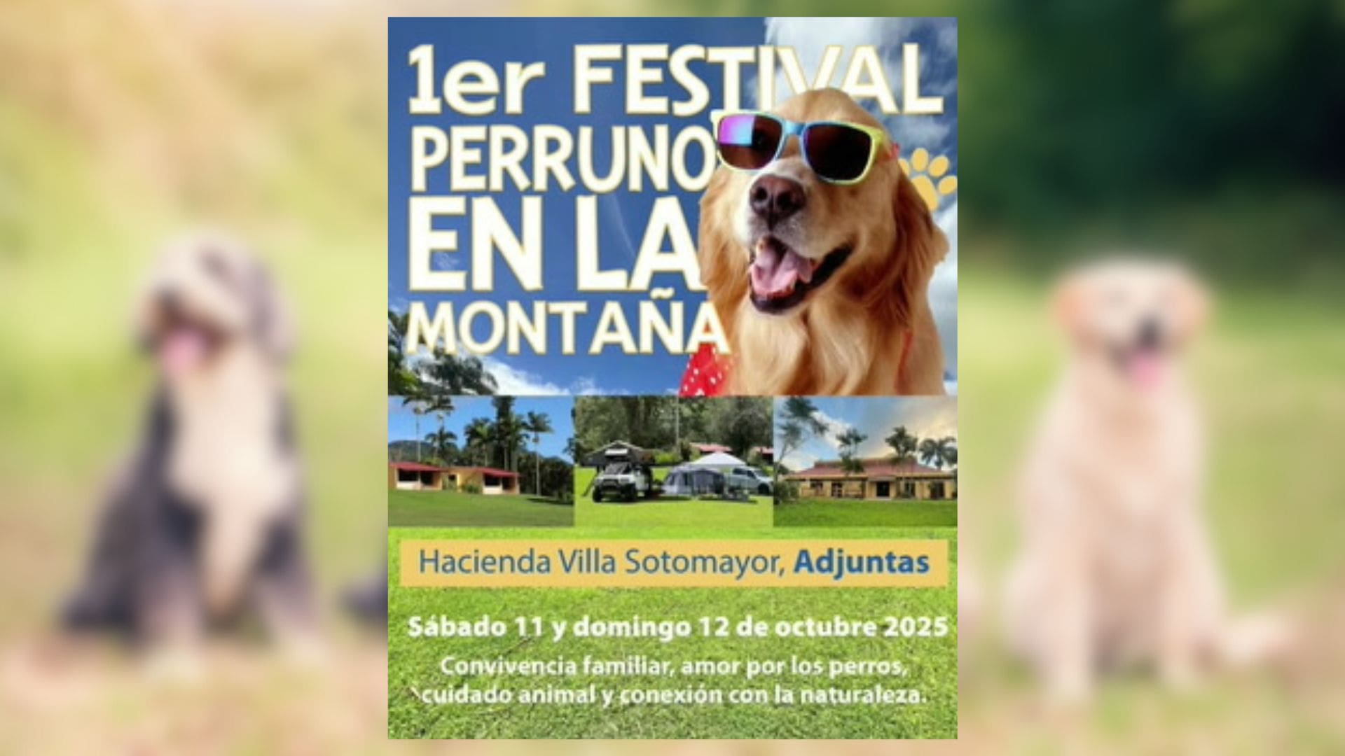 Festival Perruno en la Montaña busca crear conciencia sobre la adopción ...