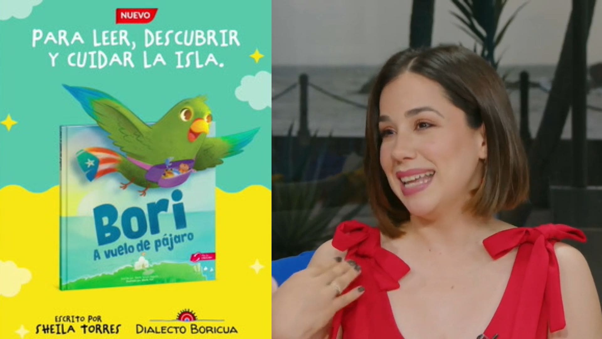 Sheila Torres destaca la riqueza del dialecto boricua en nuevo libro ...