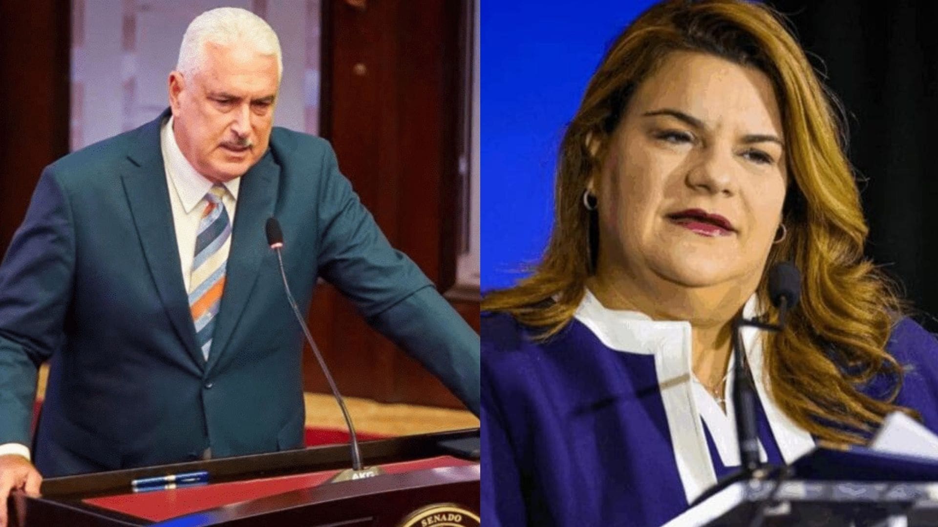 Portavoz PPD asegura que conferencia legislativa del PNP definirá quién ...